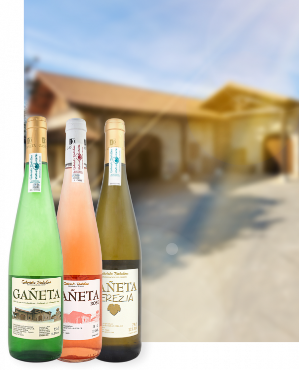 Gañeta – Getariako Txakolina - Gañeta